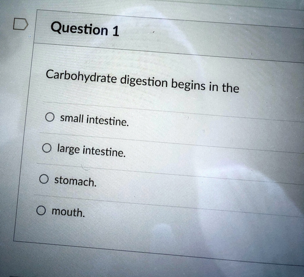 question 1 carbohydrate digestion begins in the small intestine large ... question 1 carbohydrate digestion begins in the small intestine large ...
