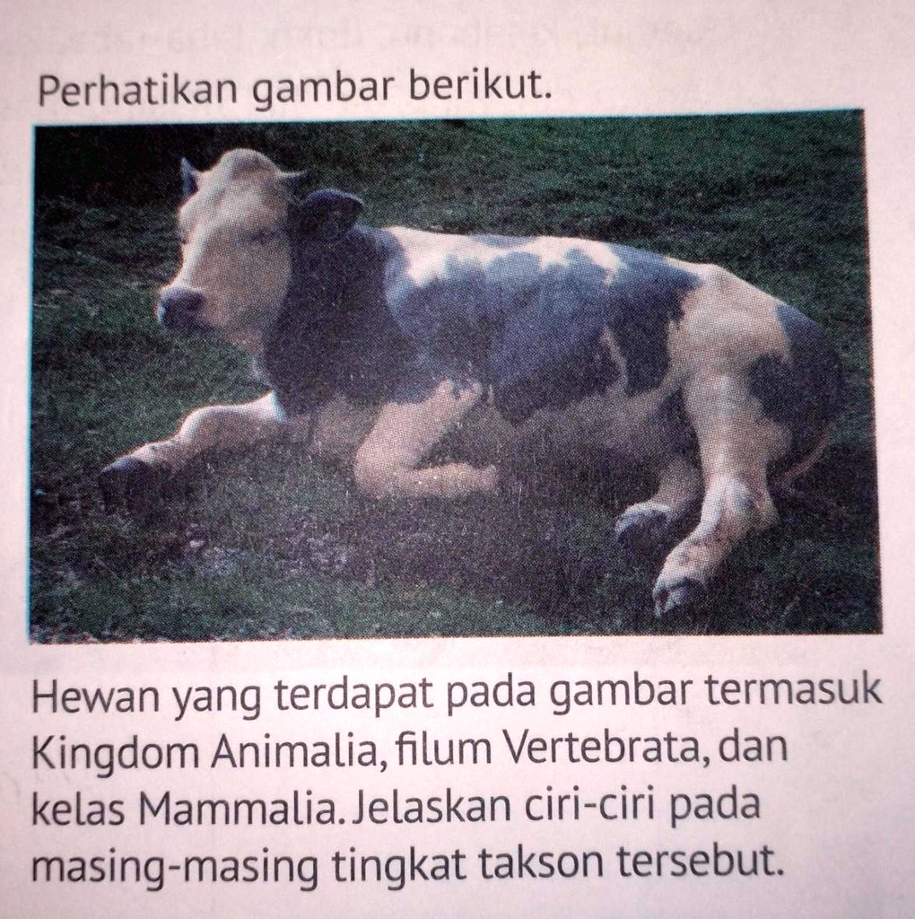 SOLVED: Perhatikan gambar berikut.Hewan yang terdapat pada gambar ... SOLVED: Perhatikan gambar berikut.Hewan yang terdapat pada gambar ...