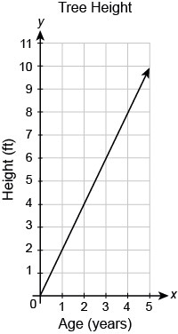 Tree Height y 11 10 9 8 7 6 5 4 3 Height (ft) 2 1 0 1 2 3 4 5 Age (years) x