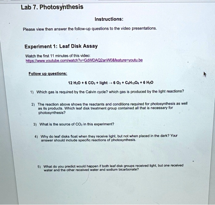 lab 7 photosynthesis instructions please view then answer the follow up ...