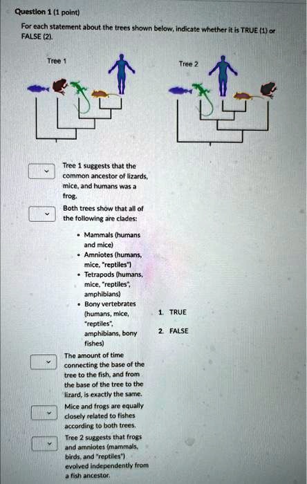 question 1 1 point for each statement about the trees shown below ...