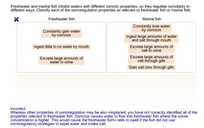 SOLVED: Freshwater and marine fish inhabit waters with different ...