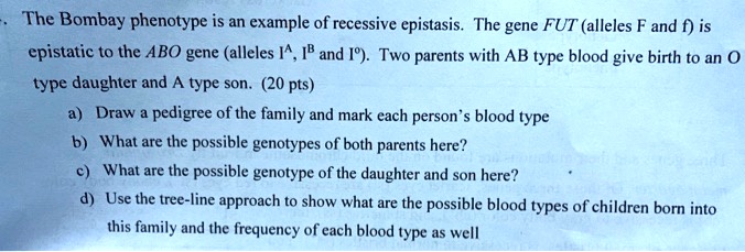 SOLVED: The Bombay phenotype is an example of recessive epistasis. The ...