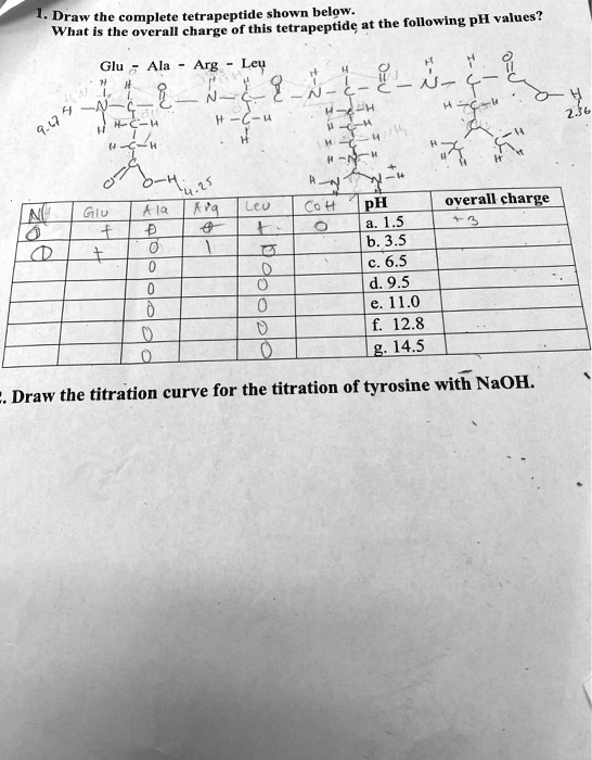 draw the complete tetrapeptide shown below a the following ph values ...