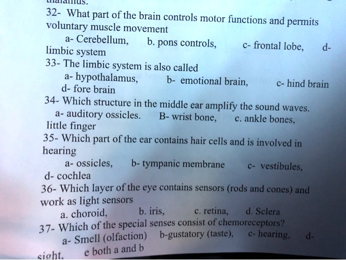 SOLVED: Tdianlius 32 - What part of the brain controls motor functions ...