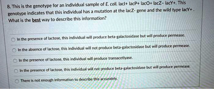 8 this is the genotype for an individual sample of e coli lacl lacp ...