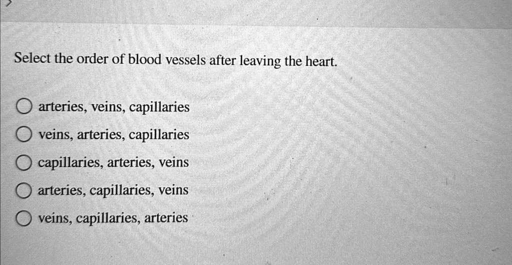 Select the order of blood vessels after leaving the heart. arteries ...