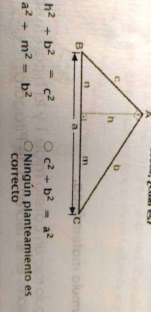 SOLVED: aplicar el teorema de Pitágoras en algún en algún de los ... SOLVED: aplicar el teorema de Pitágoras en algún en algún de los ...