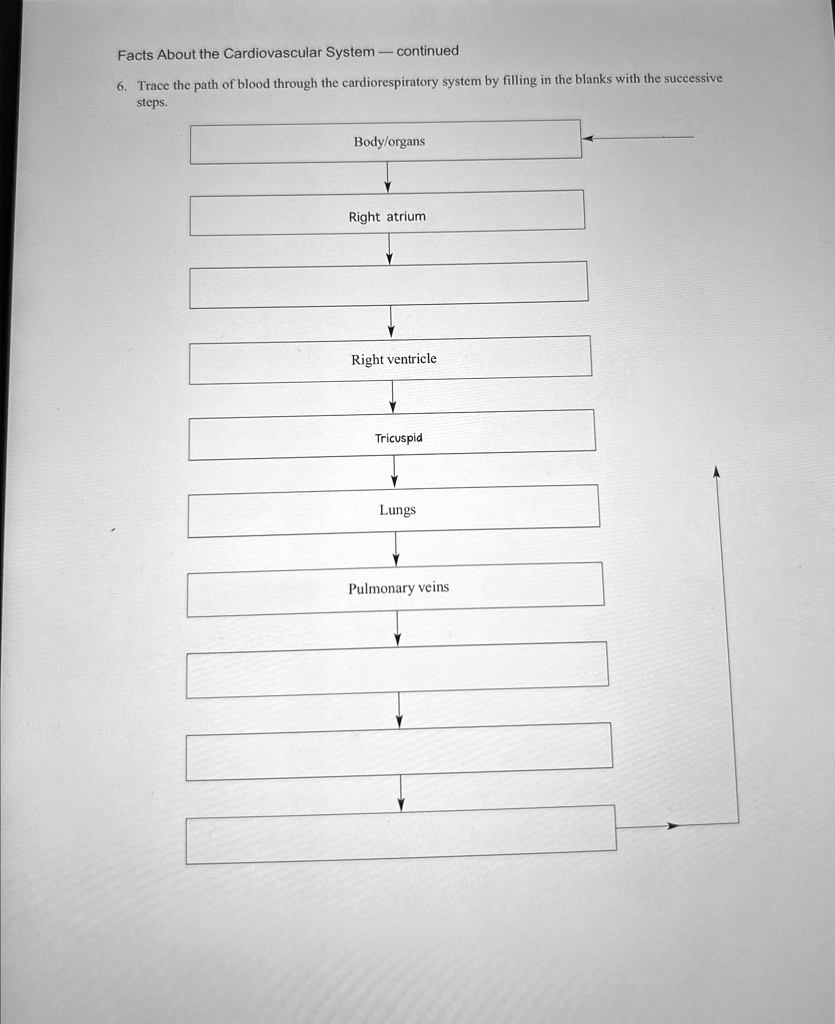 Facts About the Cardiovascular System – continued 6. Trace the path of ...