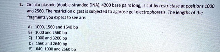 SOLVED: Circular plasmid (double-stranded DNA), 4200 base pairs long ...