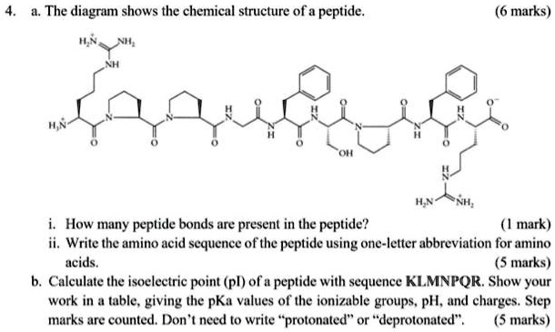 4. a. The diagram shows the chemical structure of a peptide. (6 marks ...