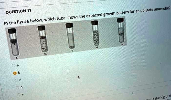 SOLVED: QUESTION 17 'pattern for an obligate anaerobe? expected growth ...