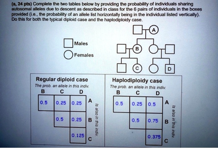 a 24 pts complete the two tables below by providing the probability of ...
