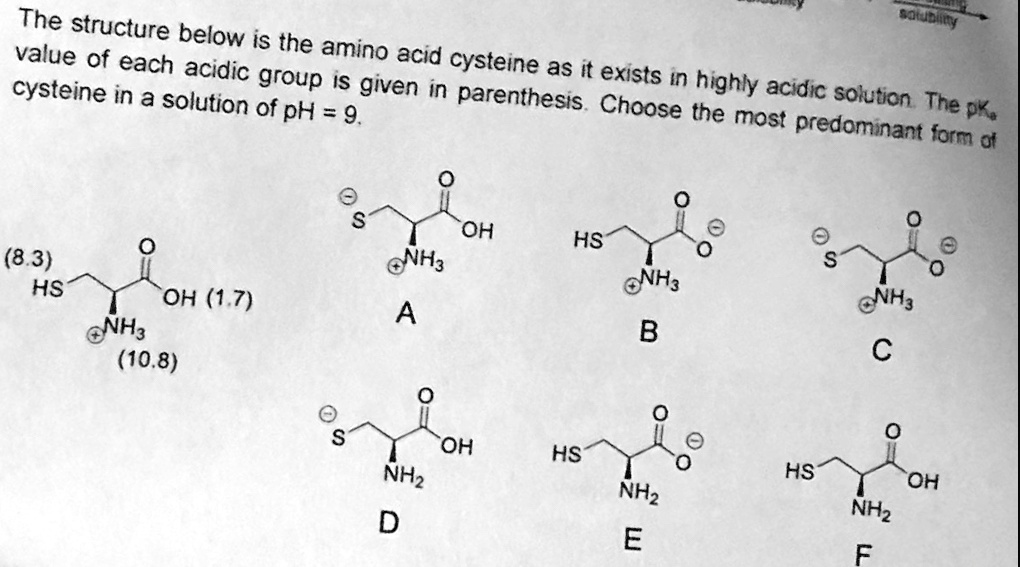 SOLVED: The structure below is value of each the acidic amino acid ...
