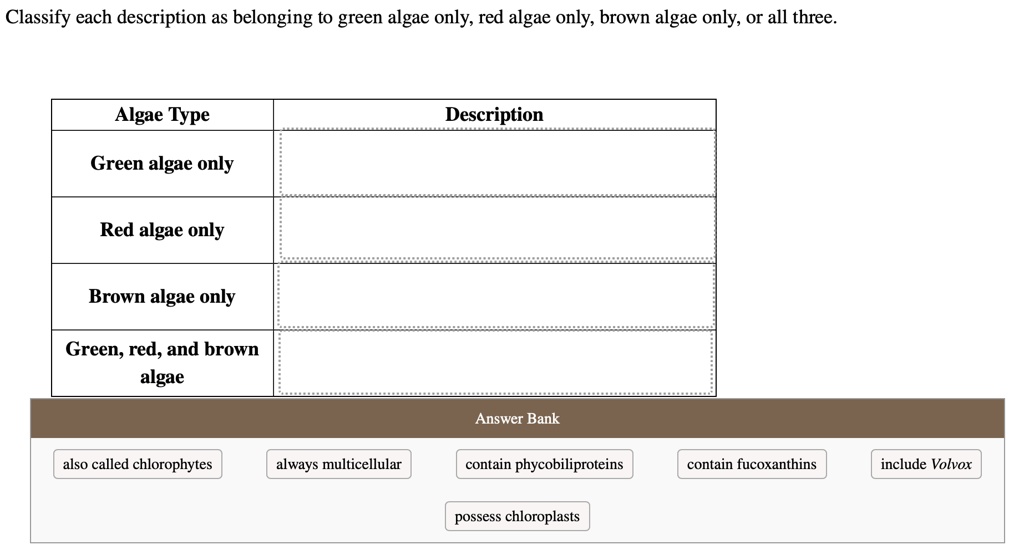 Classify each description as belonging to green algae only, red algae ...