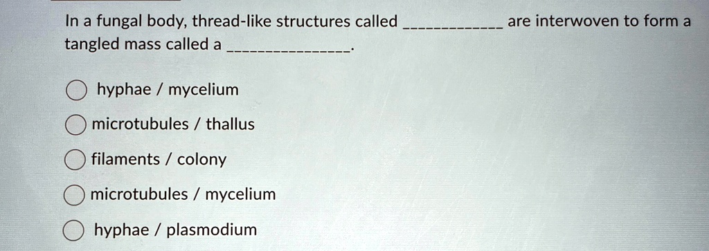 In a fungal body, thread-like structures called are interwoven to form ...