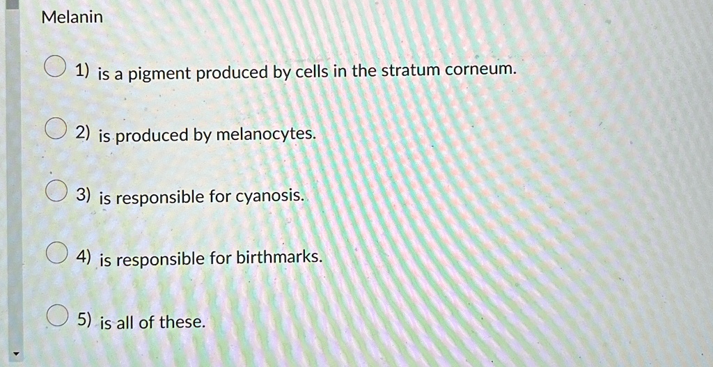 Melanin 1) is a pigment produced by cells in the stratum corneum. 2) is ...