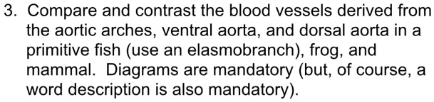 SOLVED: Compare and contrast the blood vessels derived from the aortic ...