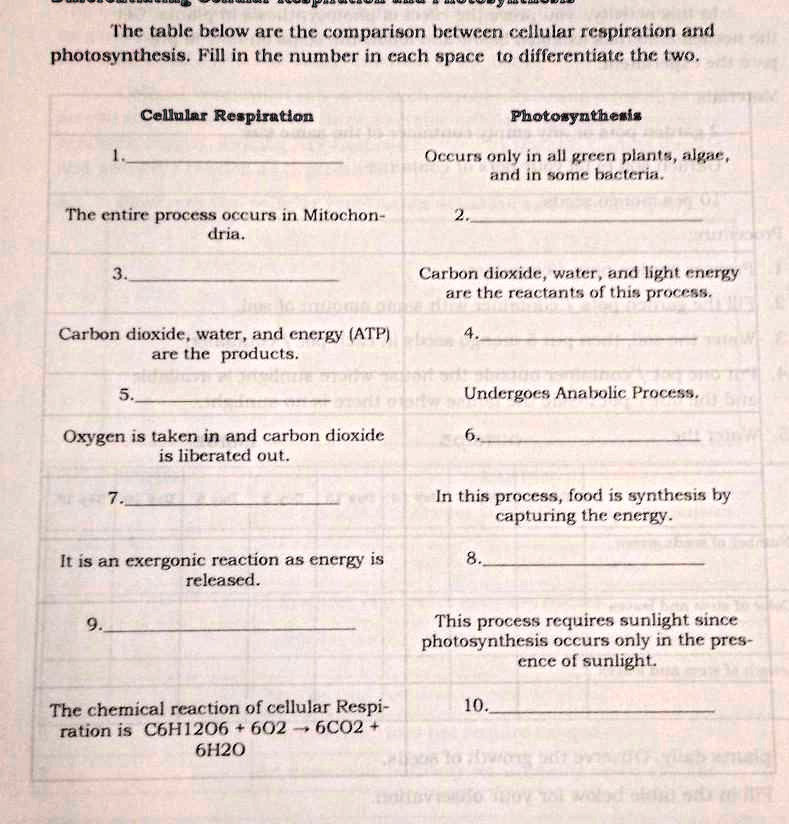 SOLVED: Differentiating Cellular Respiration and Photosynthesis The ...