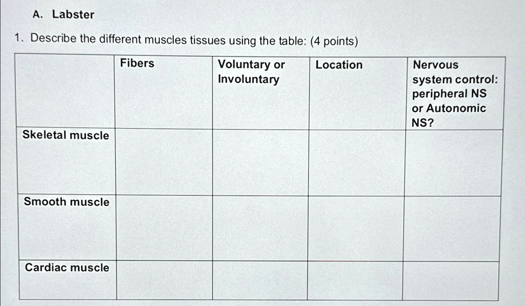 SOLVED: A. Labster Describe the different muscle tissues using the ...