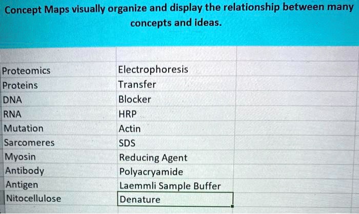 SOLVED: Concept Maps visually organize and display the relationship ...