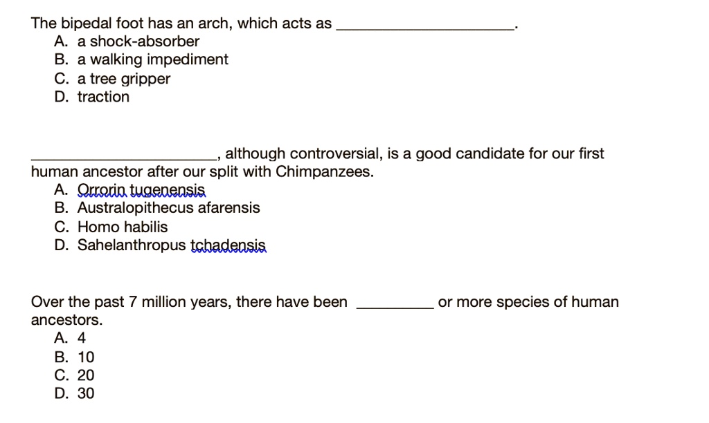SOLVED: The bipedal foot has an arch, which acts as a shock-absorber B ...