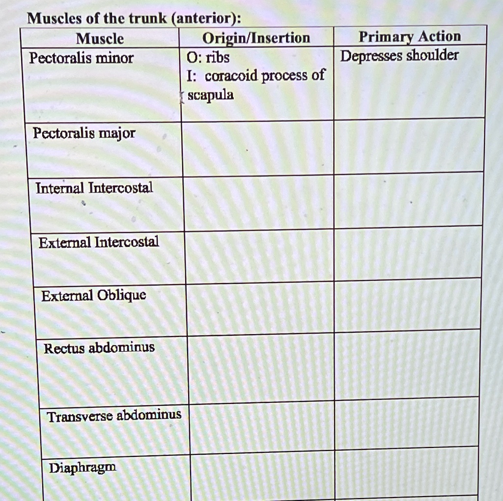 Muscles of the trunk (anterior): Muscle Origin/Insertion Primary Action Pectoralis minor O: ribs ...