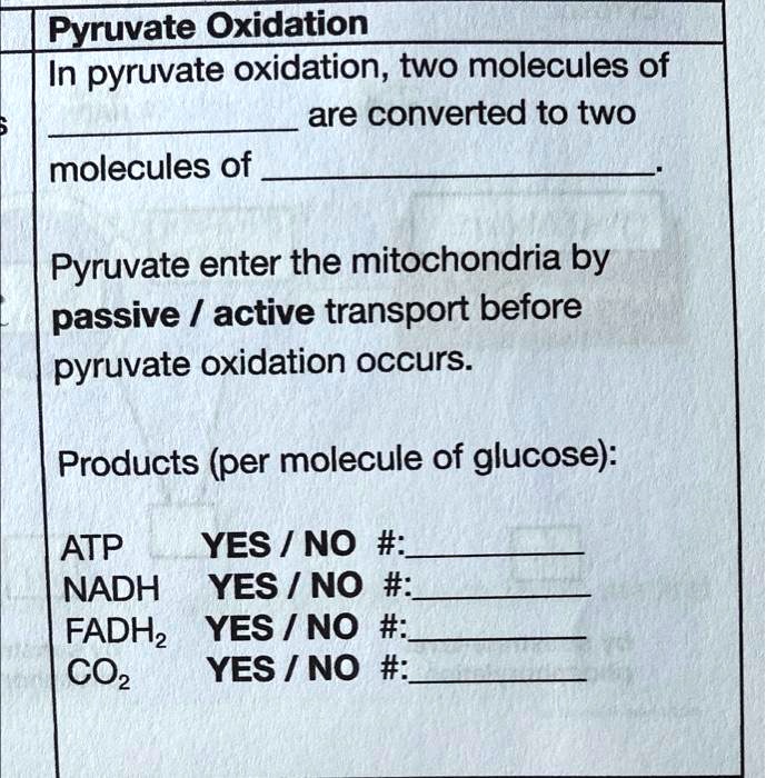 Pyruvate Oxidation In pyruvate oxidation, two molecules of are ...