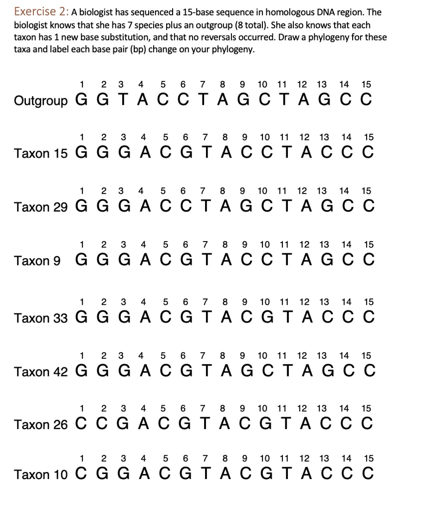 Texts: Please explain and label base pair changes. Exercise 2: A ...