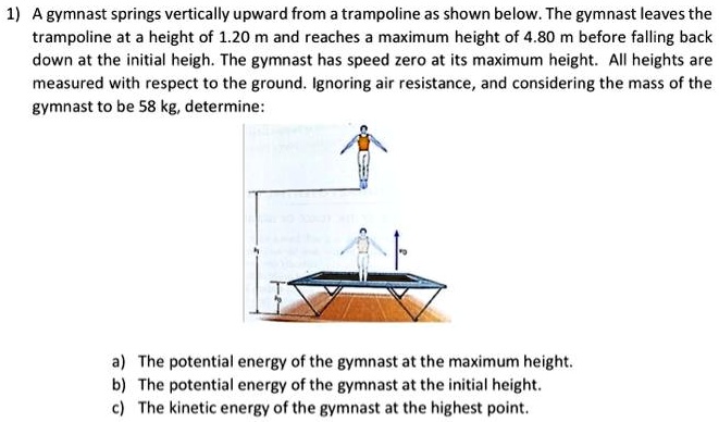 1) A gymnast springs vertically upward from a trampoline as shown below. The gymnast leaves the ...