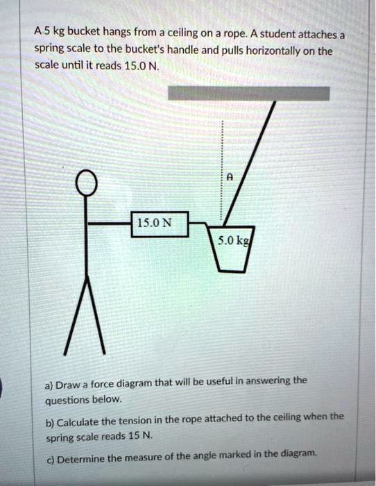 a 5 kg bucket hangs from ceiling on a rope a student attaches spring ...