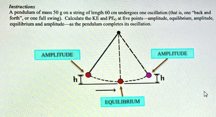instructions a pendulum of mass 50 g on a string of length 60 cm ...