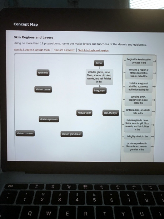 Concept Map Skin Regions and Layers Using no more than 11 propositions, name the major layers ...