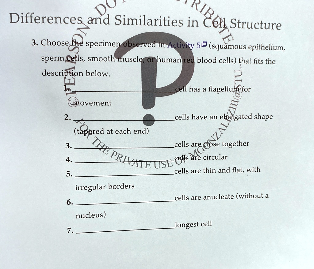 differences and similarities in cell structure 3 choose the specimen ...