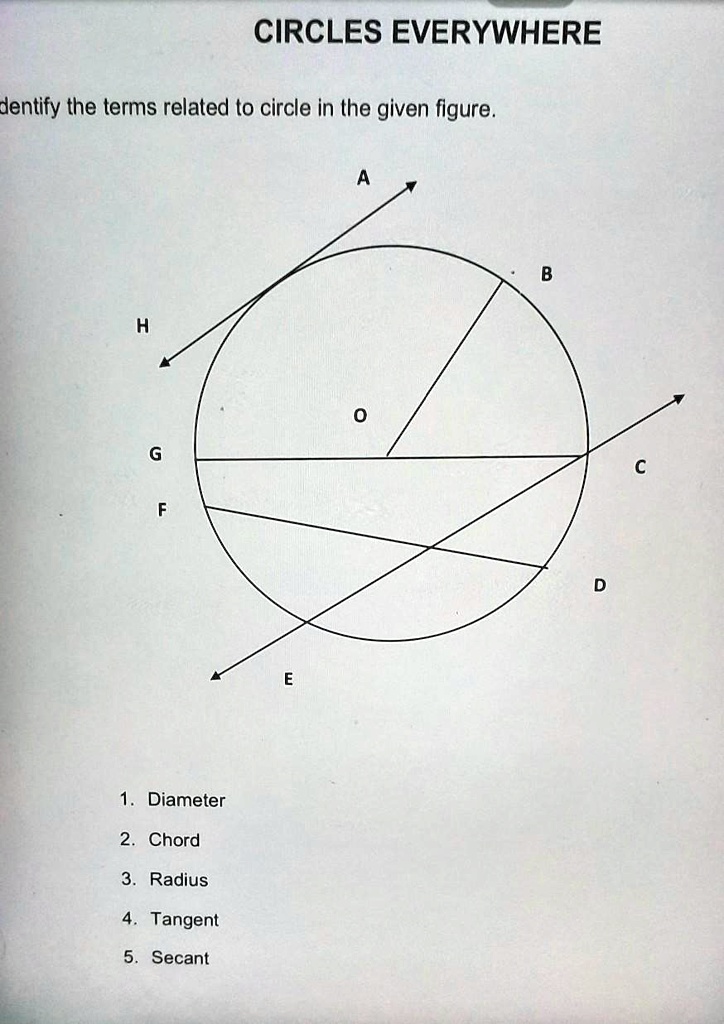 CIRCLES EVERYWHERE dentify the terms related to circle in the given ...