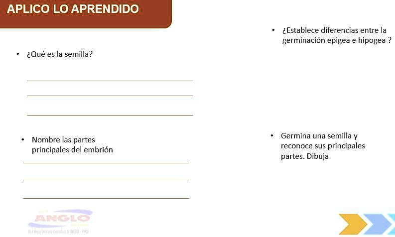 SOLVED: ayúdenme plis :'3 doy coronita uwu APLICO LO APRENDIDO ... SOLVED: ayúdenme plis :'3 doy coronita uwu APLICO LO APRENDIDO ...