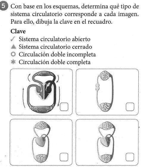 SOLVED: ayudaaaa es una tarea para hoy Con base en los esquemas ...