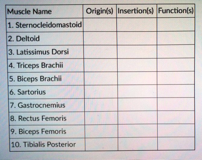 SOLVED: Muscle Name Origin(s) |Insertion(s) Function(s ...