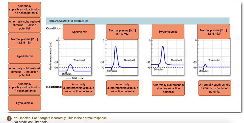 A normally suprathreshold stimulus ? no action potential A normally ...