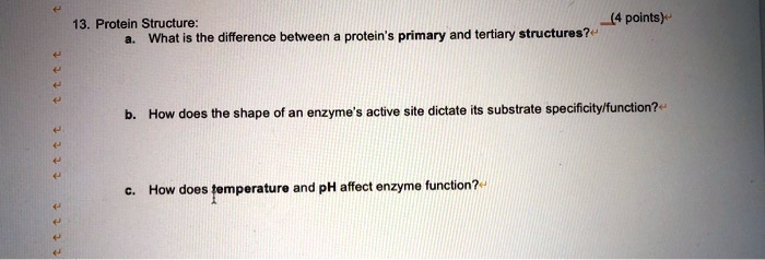 SOLVED: Protein Structure: What is the difference between protein's ...