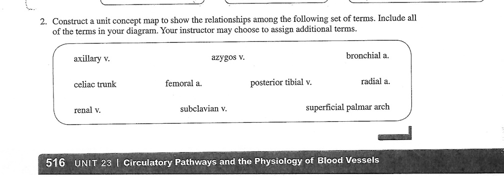 2. Construct a unit concept map to show the relationships among the ...