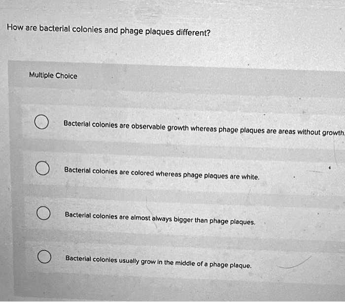 how are bacterial colonies and phage plaques different multiple cholce ...