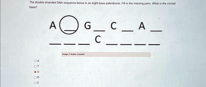 The double-stranded DNA sequence below is an eight-base palindrome ...