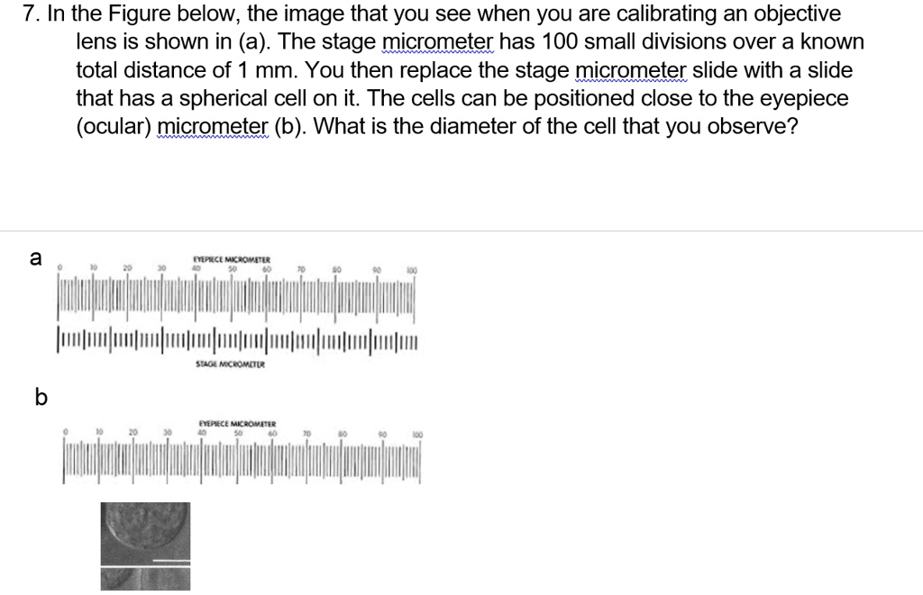 SOLVED: 7. In the Figure below, the image that you see when you are ...