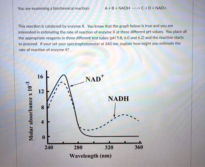 you are examining biochemical reaction a b nadh cd nad this reaction is ...