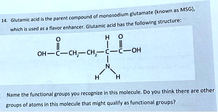 glutamate known as msg glutamic acid is the parent compound of ...