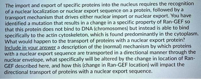 the import and export of specific proteins into the nucleus requires ...