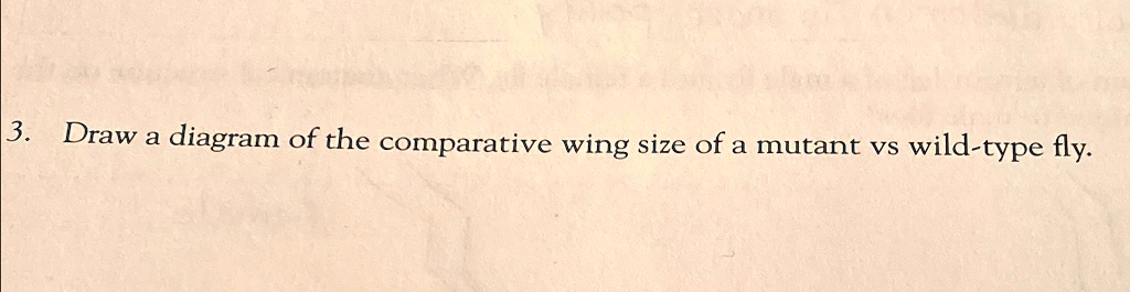 Draw a diagram of the comparative wing size of a mutant vs wild-type ...