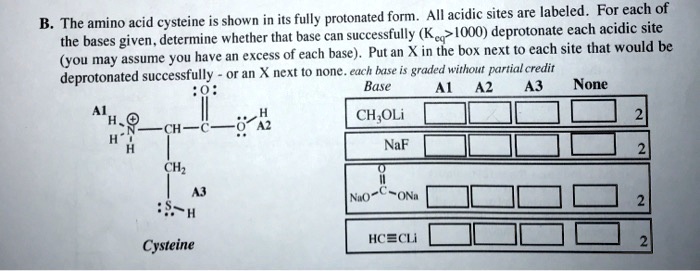 all acidic sites are labeled for each of the amino acid cysteine is ...