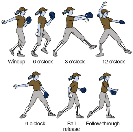 SOLVED: 1. Given the windmill softball pitching motion identified in ...